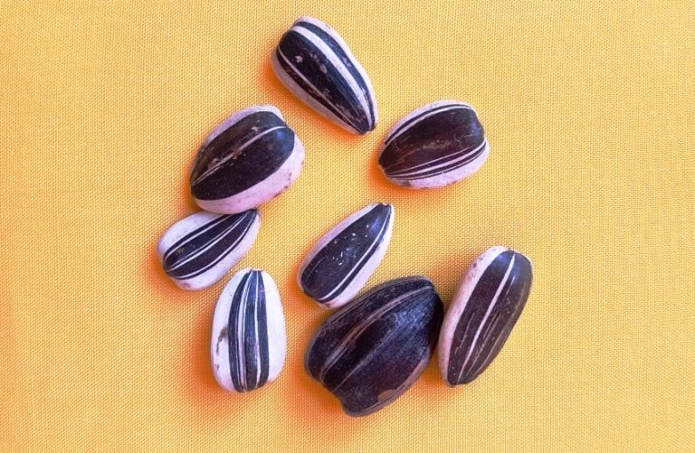 Best Seeds For Kids To Grow Indoors