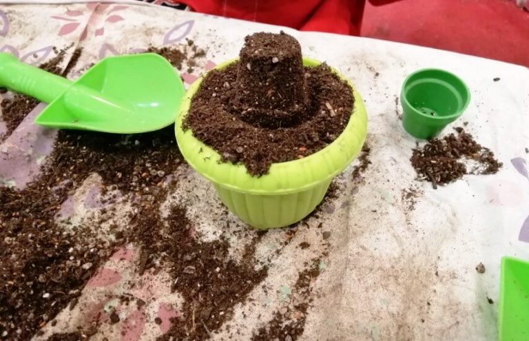 Container Gardening For Kids: Why & How To Do It? | Florist Kid
