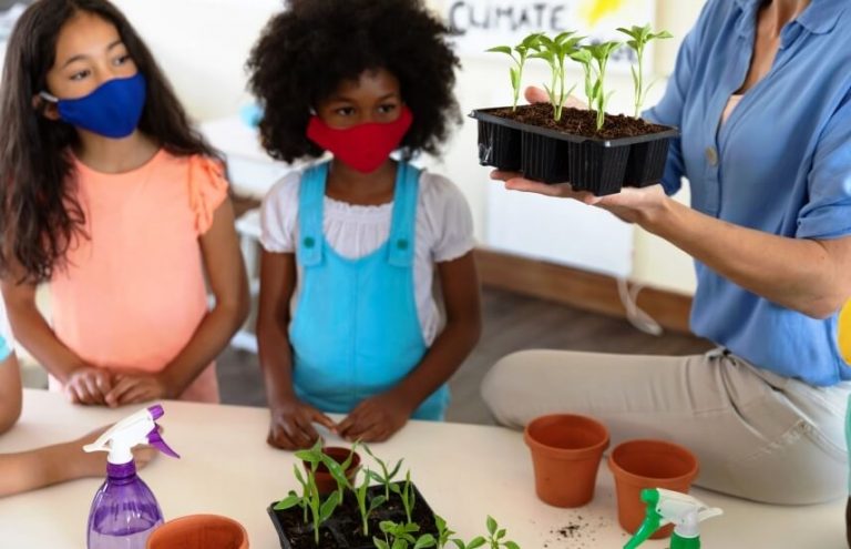 What Are Benefits Of Plants In Classrooms? | Florist Kid