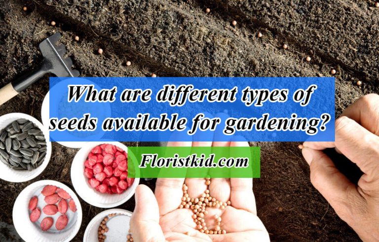 What Are The Different Types Of Seeds Available For Gardening?
