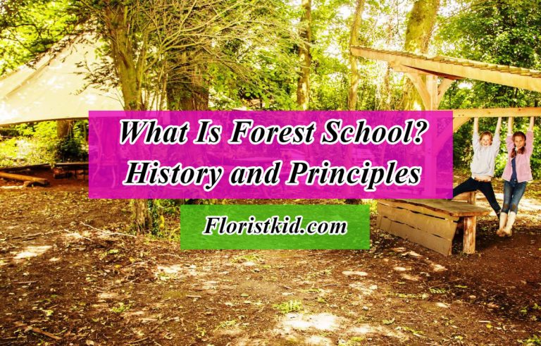 What Is Forest School? History And Principles