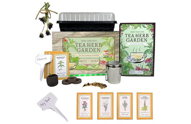 Top Herbal Tea Growing Kits On The Market