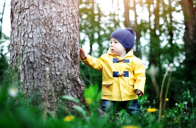 How To Conduct A Tree Planting Activity With Kids