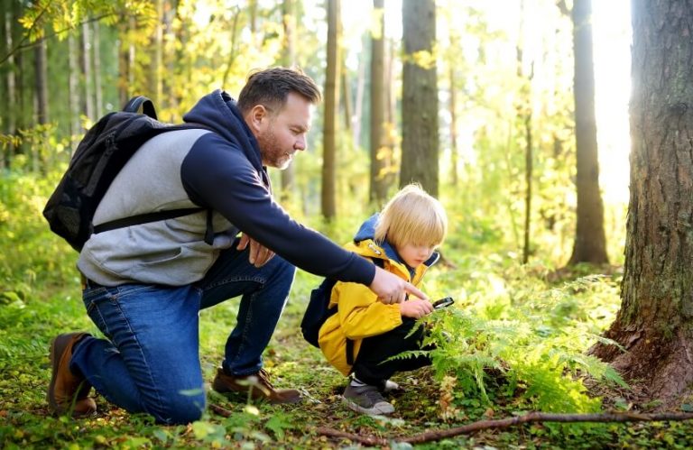 How To Conduct A Tree Planting Activity With Kids