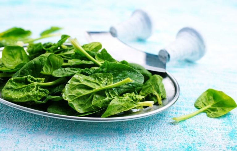 How To Grow Spinach Microgreens (History and benefits)