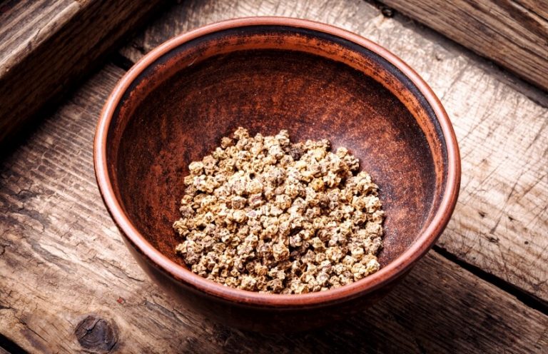 How To Grow Swiss Chard Microgreens (History & Benefits)