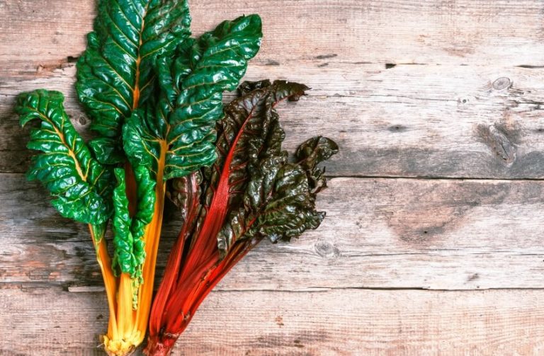 How To Grow Swiss Chard Microgreens (History & Benefits)