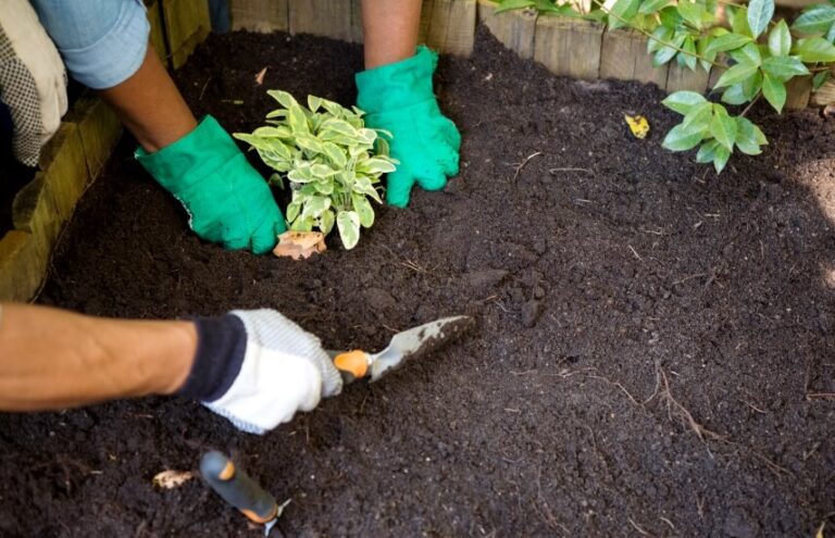 How To Use Vermicompost For Indoor Plants (+FAQ)