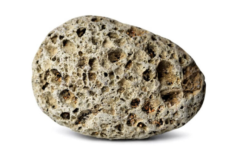 Pumice vs Leca vs Perlite vs Vermiculite: What Are The Differences?