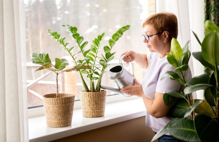 How Often To Water ZZ Plants? (+Best Watering Methods)