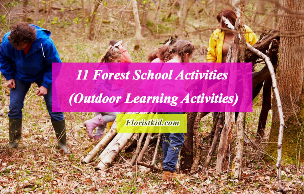 11 Forest School Activities Outdoor Learning Activities 