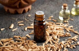 Benefits And Uses Of Cedar Tree