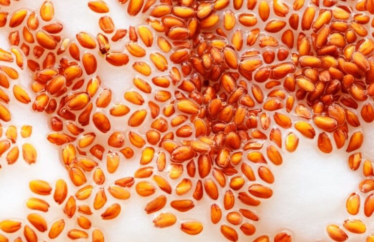 Cress (Halim) Seeds Benefits, Nutrition, And Side Effects