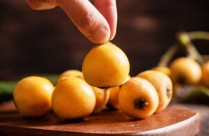 Uses And Benefits Of Loquat Tree & Fruit