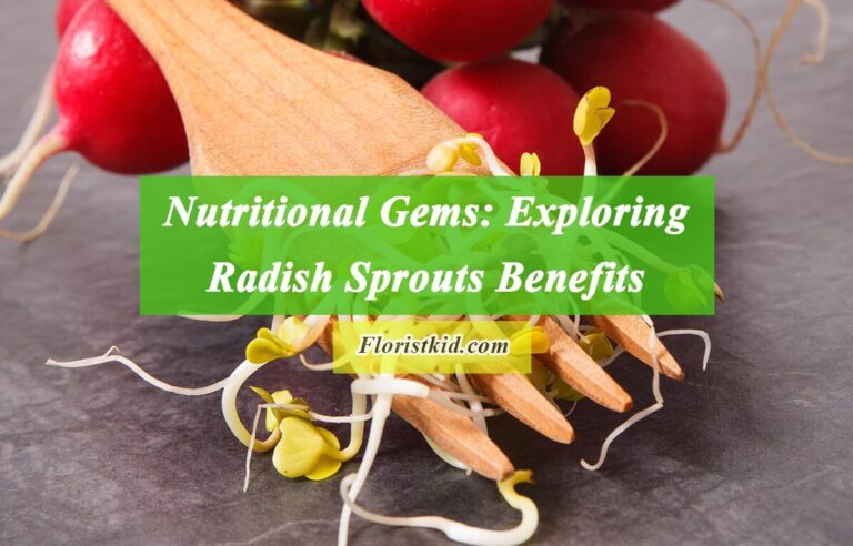 Nutritional Gems: Exploring Radish Sprouts Benefits