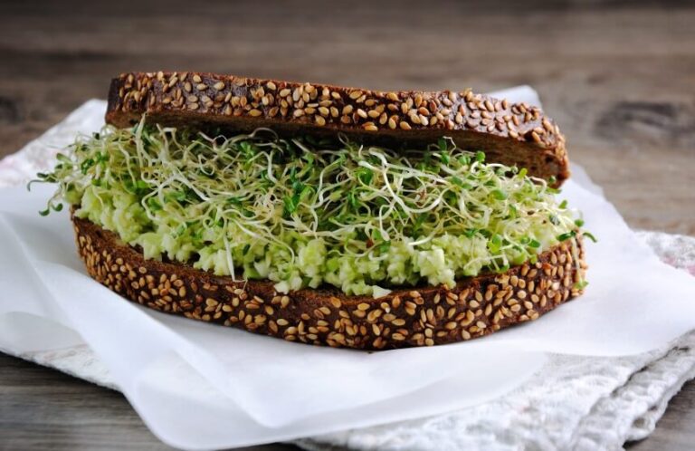 Nutritional Gems: Exploring Alfalfa Sprouts Benefits