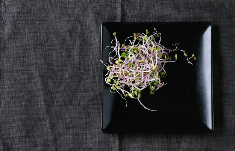 Nutritional Gems: Exploring Radish Sprouts Benefits