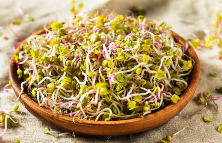 Nutritional Gems: Exploring Radish Sprouts Benefits