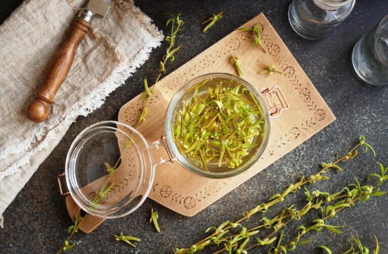 All About Willow Tree Uses And Willow Bark Benefits
