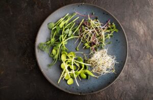 Microgreens Vs. Sprouts: What Are The Differences?