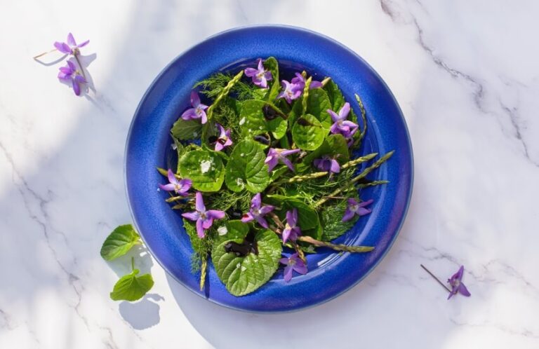 Health Benefits Of Violets (+Nutrition & Side Effects)