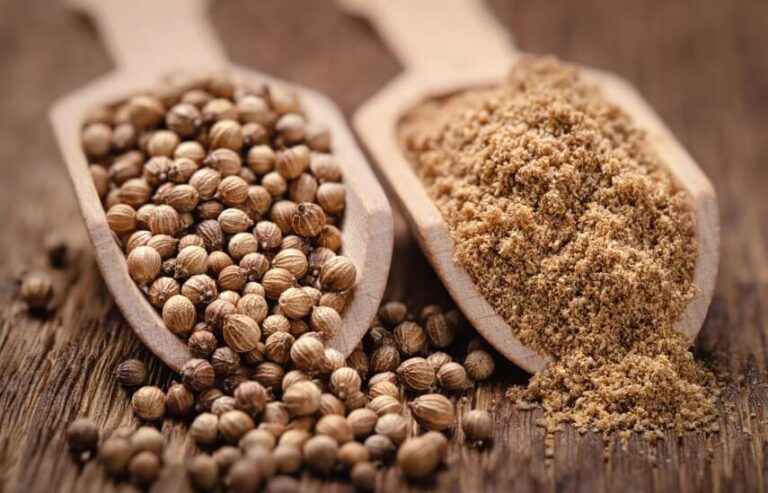 Coriander Seeds Benefits, Nutrition, And Side-Effects