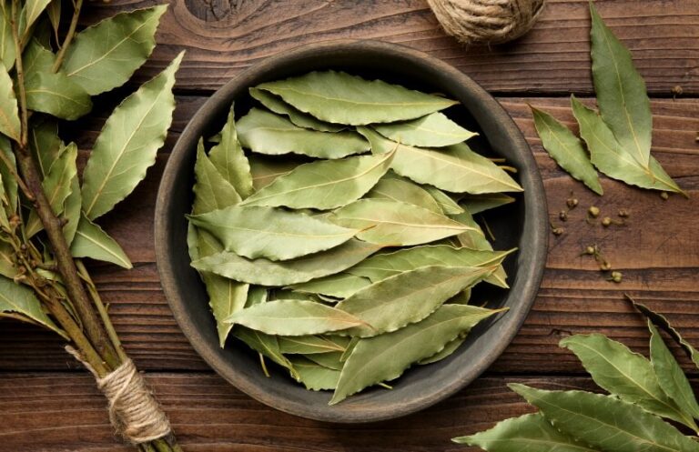 Benefits Of Burning Bay Leaf at Home & How To Do It
