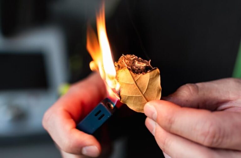 Benefits Of Burning Bay Leaf at Home & How To Do It