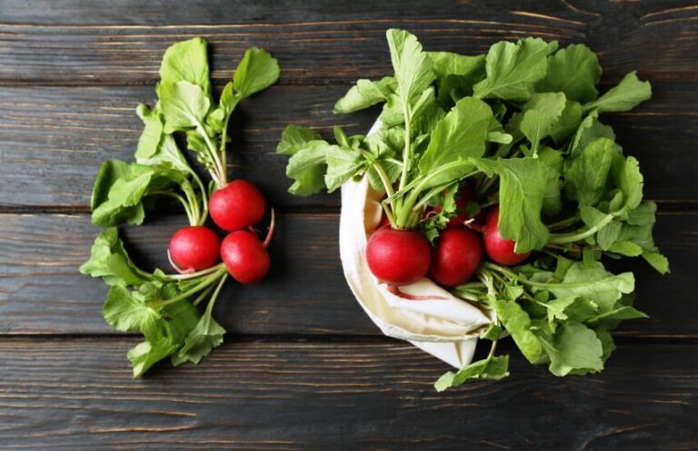Radish Leaf Benefits, Nutrition, And Side-Effects
